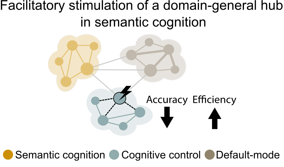 The Causal Role of the Multiple-Demand Network in Semantic and Domain ...